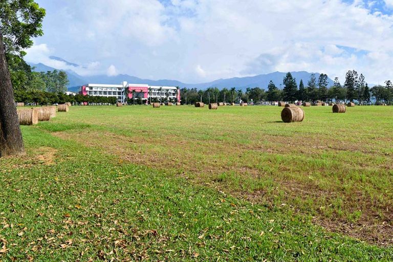 NPUST Ranks 2nd in Asia and 23rd Globally on 2024 GreenMetric Rankings ...